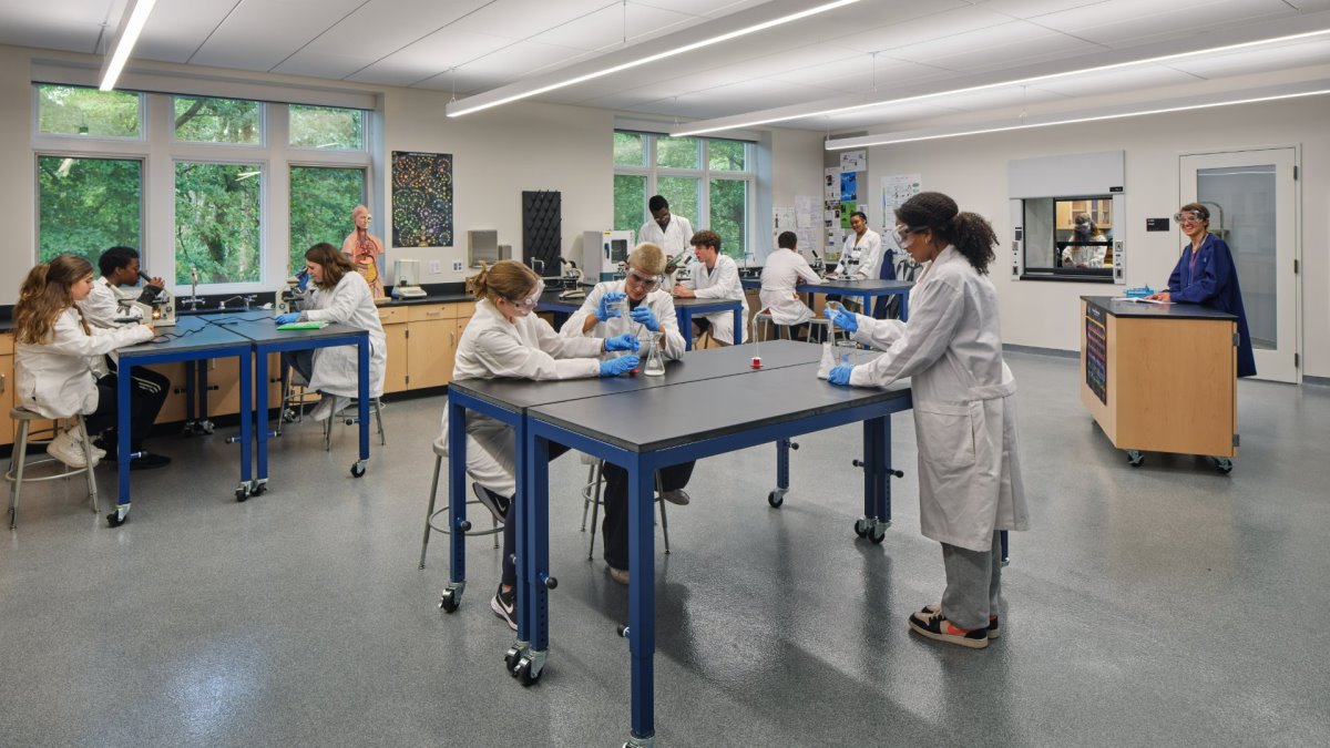 Our Purpose, Mission & Values | The Field School